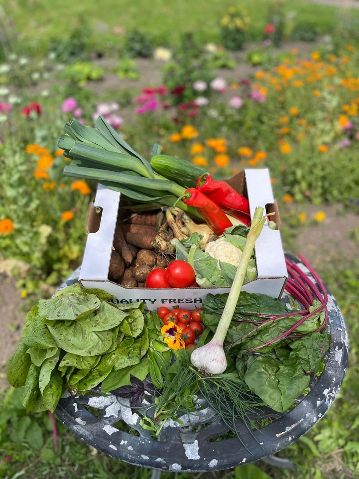 Shop local food | Trinity Farm - Nottingham & Derby